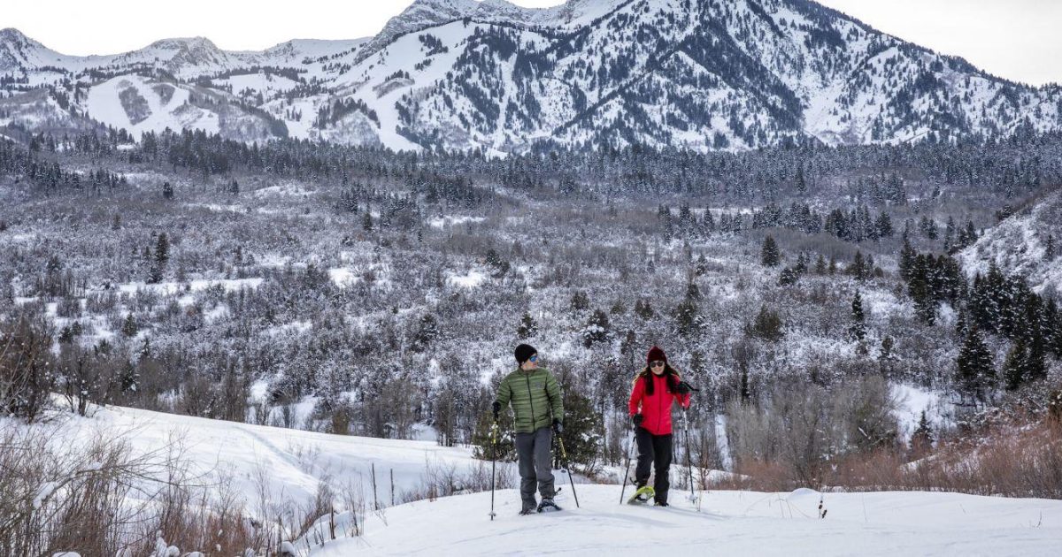 12 Ways To Watch Out In The Wasatch | Visit Ogden