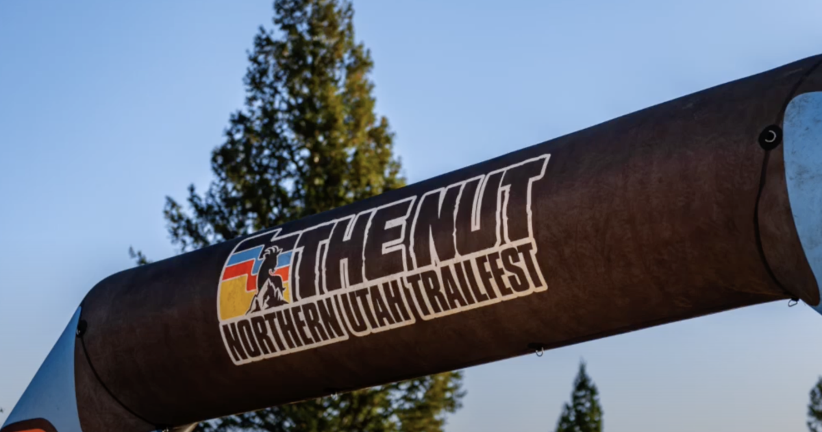 Everything you need to know about the NUT | The Ogden Wire | Visit Ogden