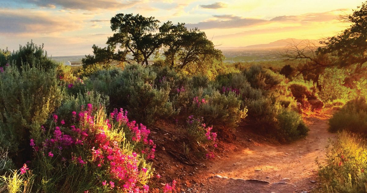 Utah Trail Running Basics | Visit Ogden