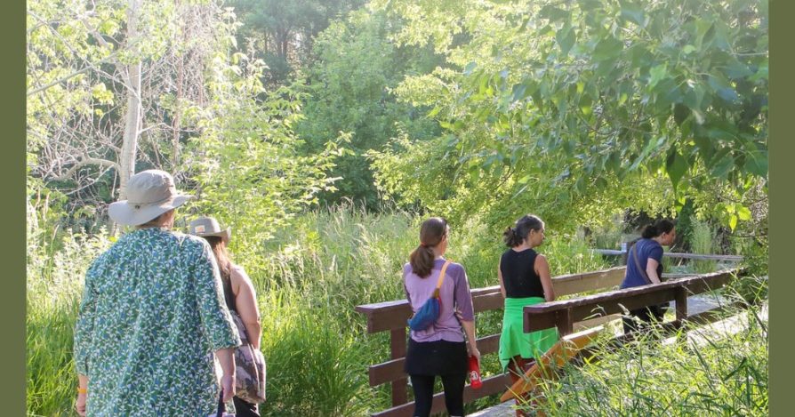 Forest Bathing with Ian Napper | Visit Ogden