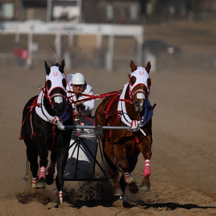 Chariot Racing