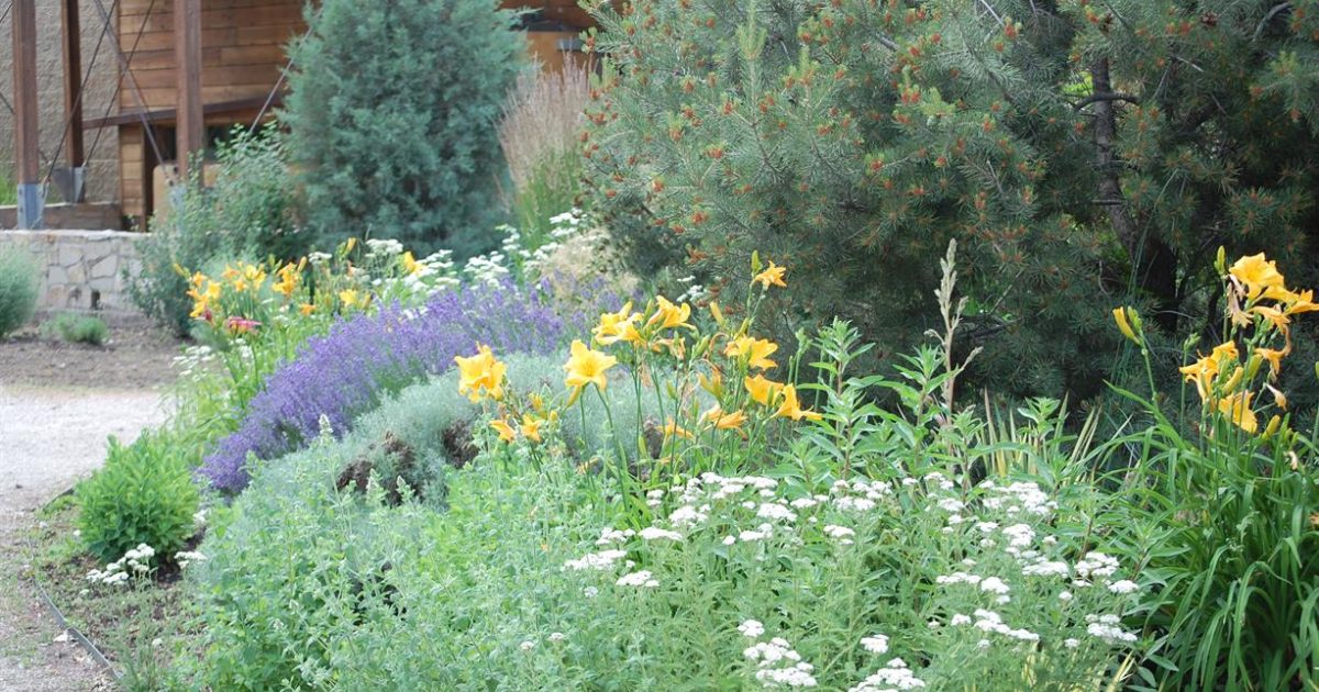 Forest Bathing with Ian Napper | Visit Ogden